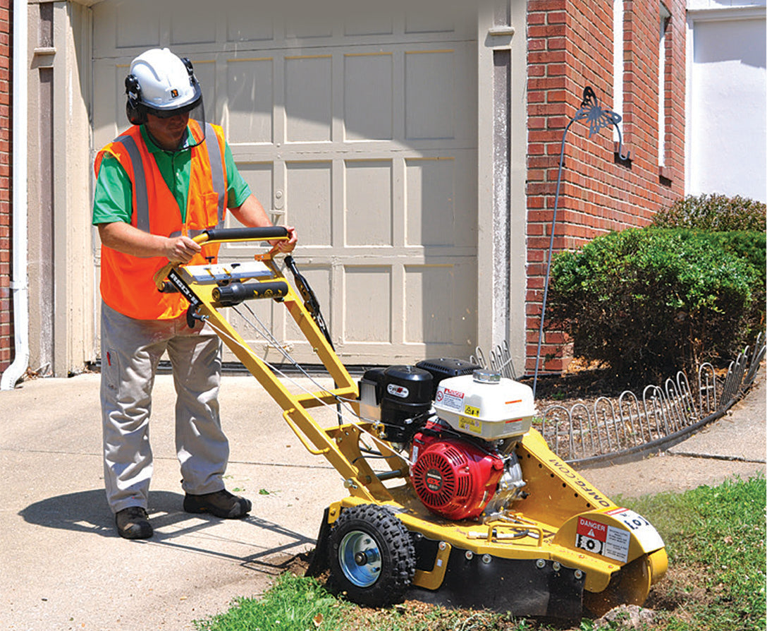 RG13-II — Cal Turf